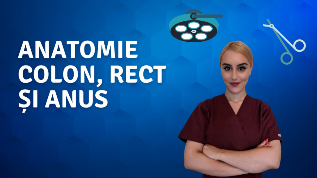 Anatomie colon, rect și anus - Meditații pentru Rezidențiat